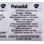 Panadol Extend Untuk Apa? Cara Guna, Dos, dan Kesan Sampingan - eCanvas