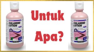 Calamine Lotion Untuk Apa? Manfaat, Kesan Sampingan, dan Dos - eCanvas